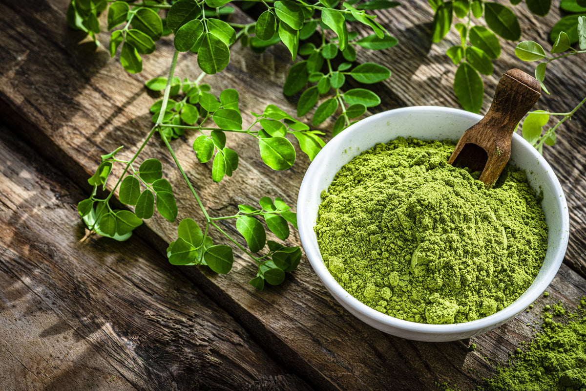 The Top Moringa Products-Based Online in India – Nutrozana